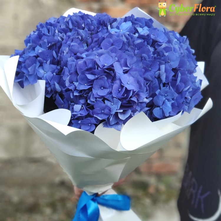 Букет «Защитник» — 3 синие гортензии с доставкой | Cyber Flora